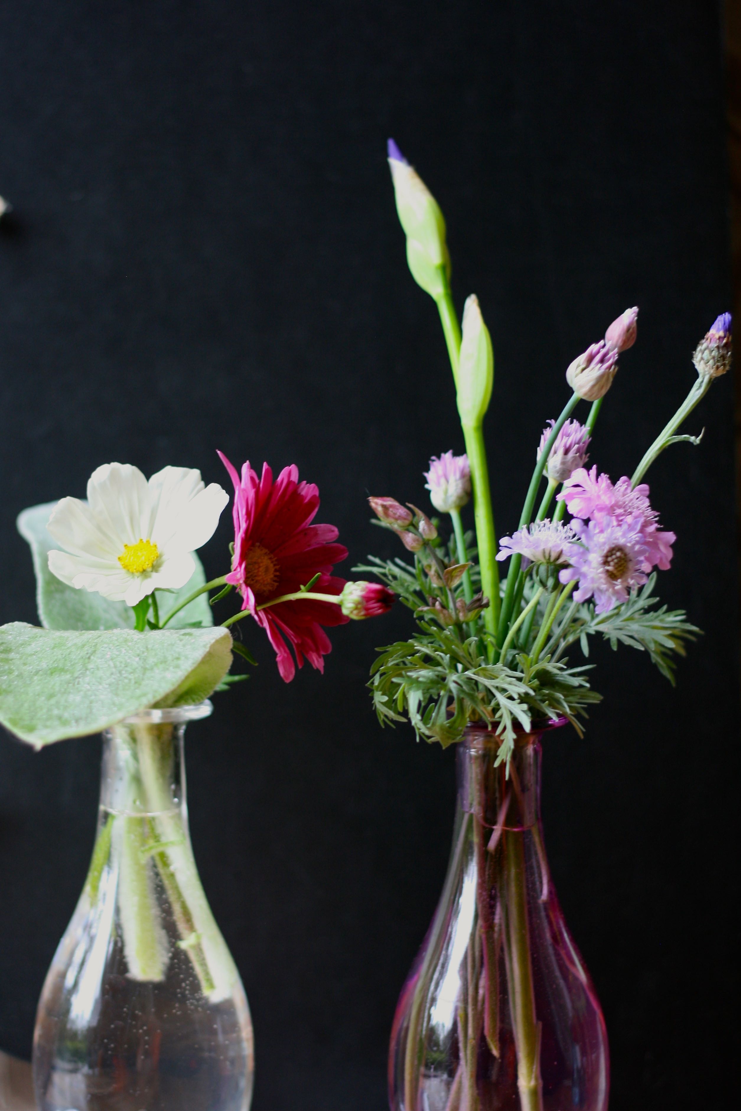 flower lab 2 | Prairie Tough Farms